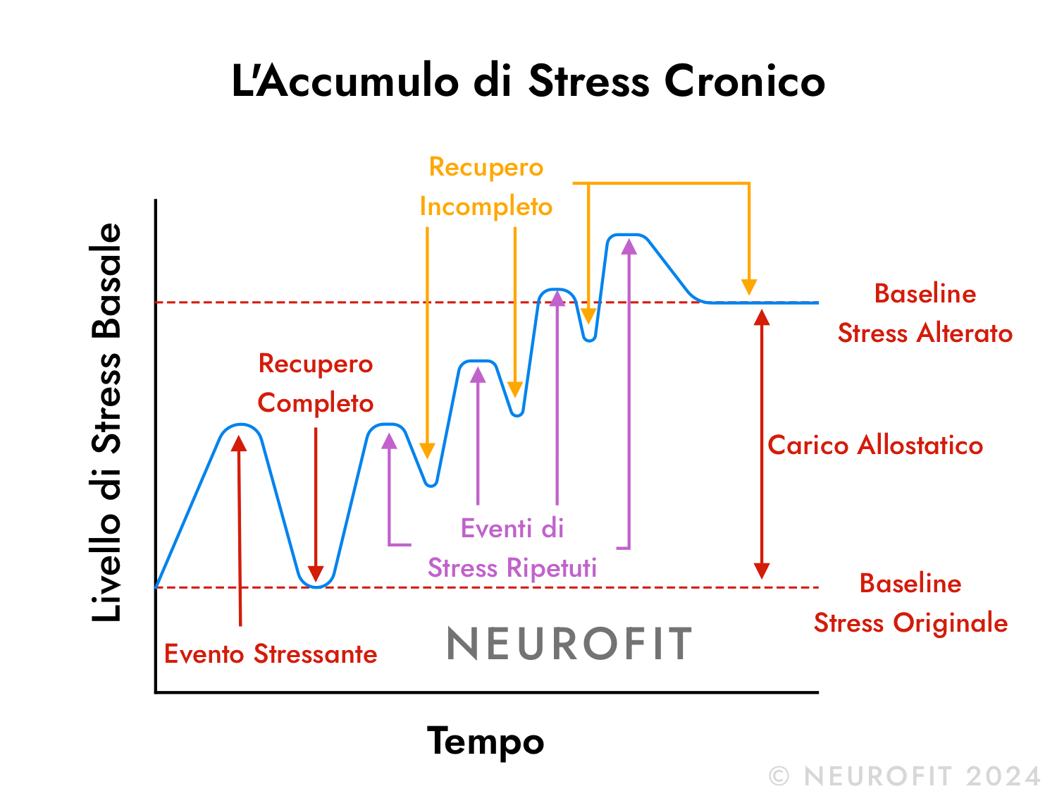 Stress Cronico E Cervello